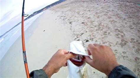 Pesca De La Lubina En Playa Pesca Información