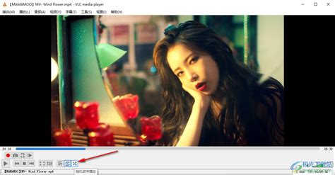 vlc media player如何设置循环播放 vlc media player设置循环播放的方法 极光下载站