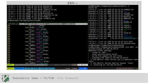 Kodar Lan Text And Editors Vivim 2013 06 15 Pdf