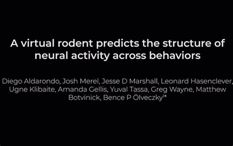 Atharva Shinde On Linkedin Innovation Ai Generativeai Neuroscience Medicalresearch…