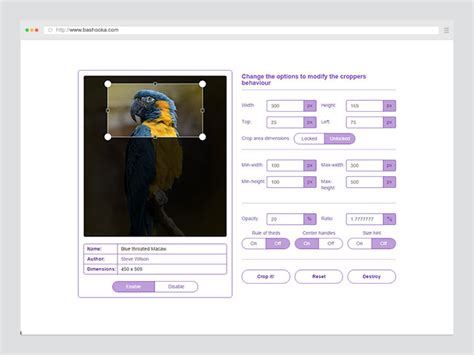 25 Useful Angularjs Directives For Web Developer Bashooka