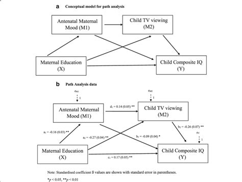 A Conceptual Model For Path Analysis B Path Analysis Data Download