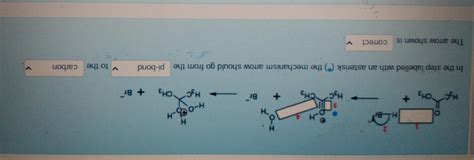 Solved H H H Hc Che H C Br H C Chg Br In The Chegg Com