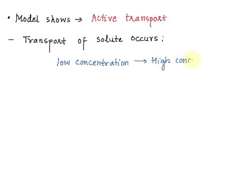 Solved The Illustration Shows A Model Of The Transport Of Solute