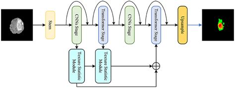 frontiers a medical image segmentation method based on multi dimensional statistical features