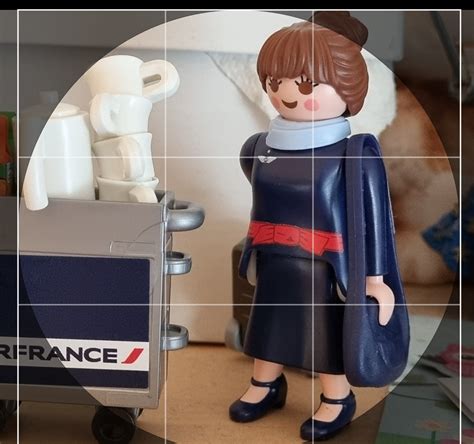 Bug Circular Crop Doesn T Work Issue Hnvn Flutter Image Cropper Github