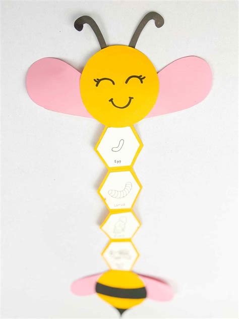 Bee Life Cycle Craft Free Template