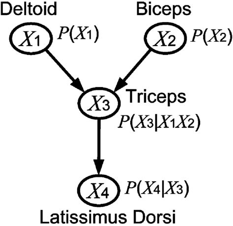 Example Of Representing The Stochastic Interactions Of Semg Recordings Download Scientific