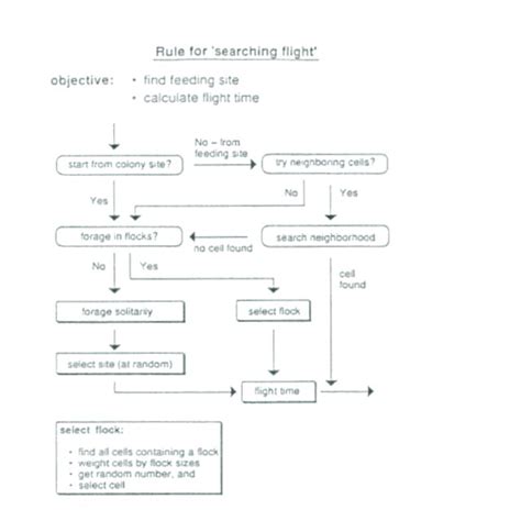 a schemata showing some of the searching choices that are made by a