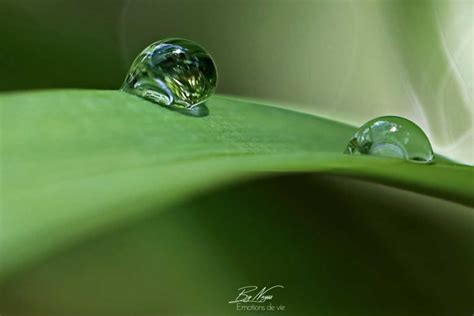 Vaness Sa Insearchpk