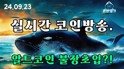 알트코인 흐름과 개별 종목분석 2024 09 23 Youtube