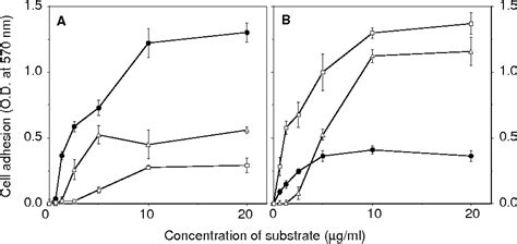 Figure 2 From Keratinocyte Migration Requires α 2 β 1 Integrin Mediated Interaction With The