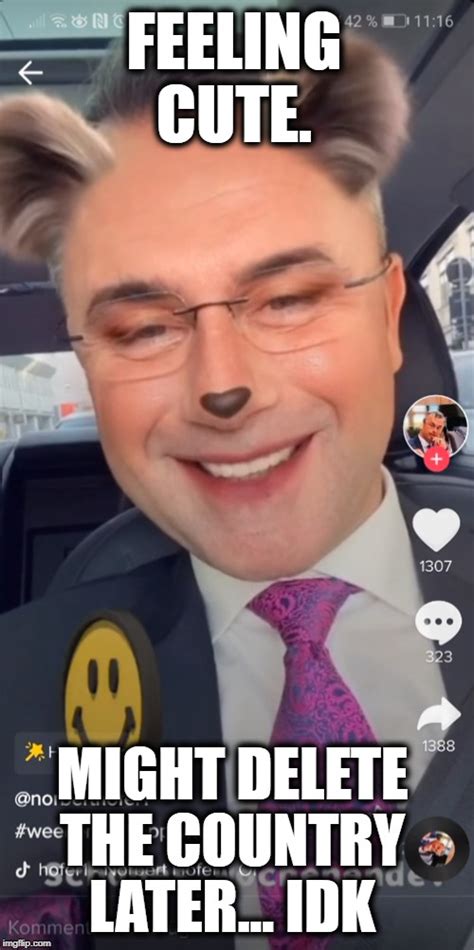 Feeling Cute Raustria