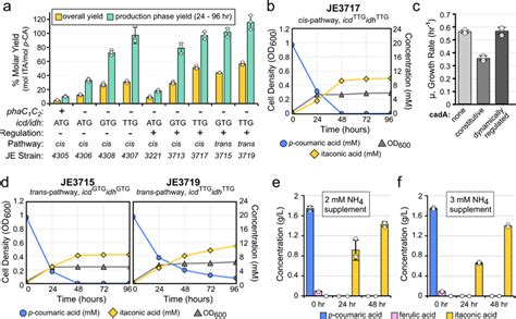 Biosensor Controlled Expression Of Itaconic Acid Production Pathways Download Scientific
