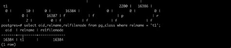 PG内核解读 第 节PostgreSQL体系结构 墨天轮