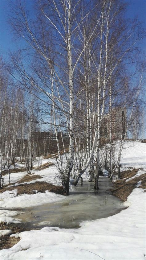 Пин от пользователя Galka Galinka на доске Inspiration в 2024 г Пейзажи Пленэр Рисунки пейзажей