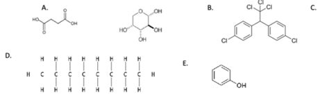Biol 221 Lecture 38 Mcqs Flashcards Quizlet