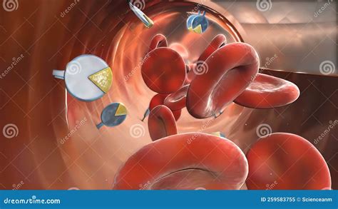 Pancreatic Cell Electrical Activity And Insulin Secretion Stock Illustration Illustration Of