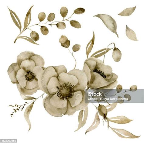 세피아 수채화 곰 꽃다발 세트입니다 손으로 그린 꽃과 열매 유 칼 리 나뭇잎과 흰색 배경 디자인 인쇄 또는 직물에 대 한 격리 지점 0명에 대한 스톡 벡터 아트 및 기타