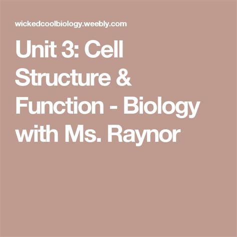 Unit 3 Cell Structure Function Biology With Ms Raynor Structure And Function Cell