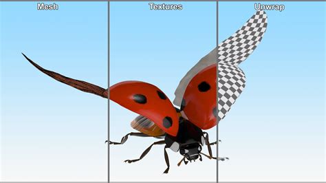 Ladybug With Wings Spread Fur Model Turbosquid 2326285