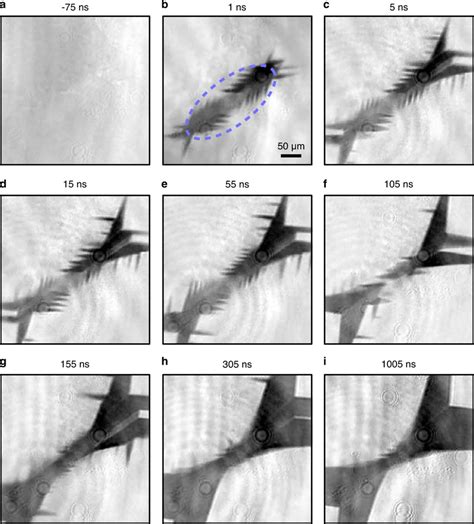 Time Resolved Imaging Of The Pattern Formation Ai Representative