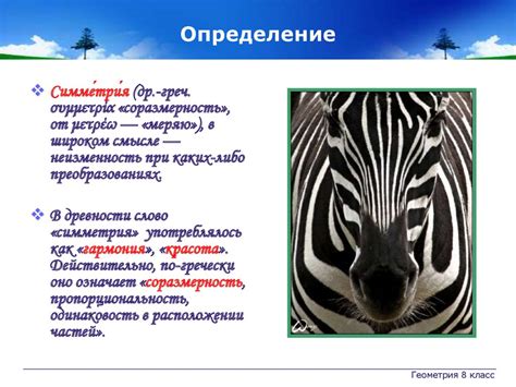 Симметрия в природе презентация онлайн
