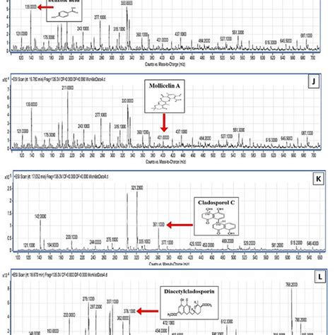 Lc Ms Ms Fragmentation Pattern Of A Verrucaria Organic Extract Showing Download Scientific