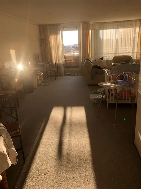 wouter van heddeghem on linkedin lovely afternoon sunshine in our living room