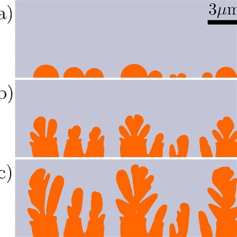 Microstructure Evolution Of Lithium Dendrites For A Current Density Of