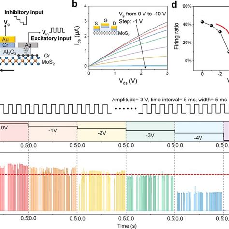 The Inhibition And Neuronal Integration Functions A The Schematic