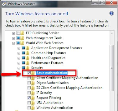 WYSIWYG IIS 7 0 Basic Authentication Webserver Security