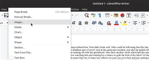How Insert And Use Images In LibreOffice Writer