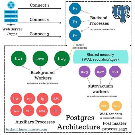 Linkedin Anezka Honke 페이지 Postgresql Process Architecture