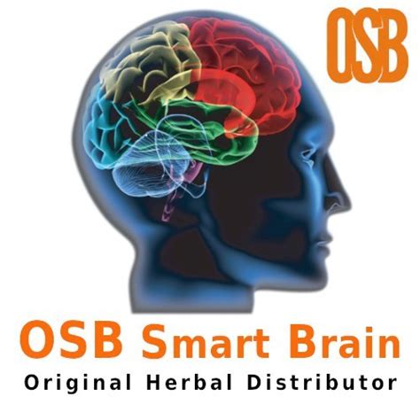 Produk Osb Bonus Shopee Indonesia