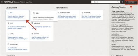 tinkering a sql script for the ords admin enable schema procedure