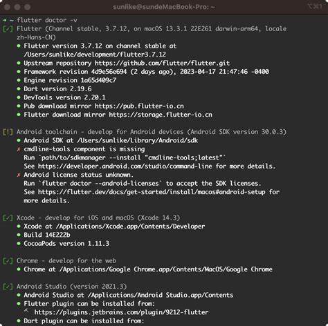 Flutter 3711 Xcode 143 Unable To Find A Destination Matching The