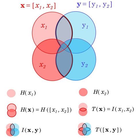 Conceptual Scheme Of Information Theoretic Measures X X 1 X 2