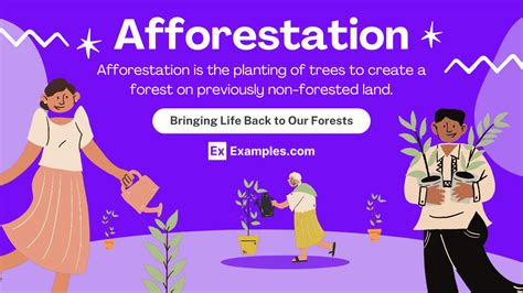 10 Afforestation Examples