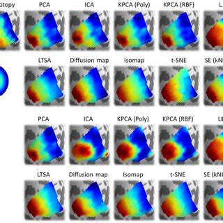 Connectopic Mapping Pipeline Functional MRI Timeseries Comprising T