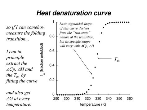 PPT Basic Protein Structure And Stability VI Thermodynamics Of Protein Stability PowerPoint