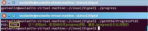 Linux下c语言开发（已知进程名得到其pid号）c语言popen创建进程pid Csdn博客