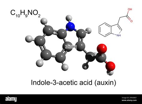 Acetic Acid