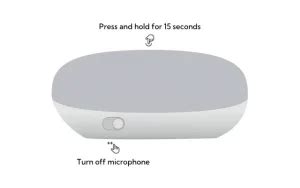 How To Reset Nest Mini St And Nd Gen