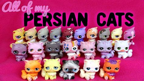 All Of My Lps Persian Cats Youtube