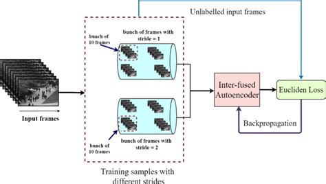 diagrammatic illustration of proposed scheme for representation download scientific diagram