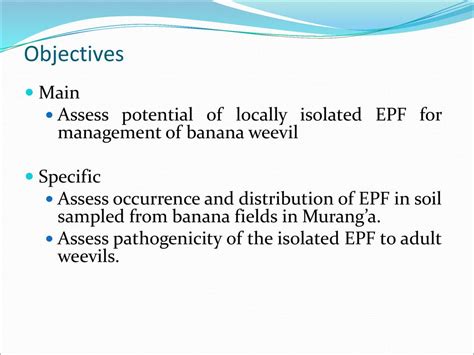 Joseph Mburu Prof Kimenju Dr Dora Ppt Download