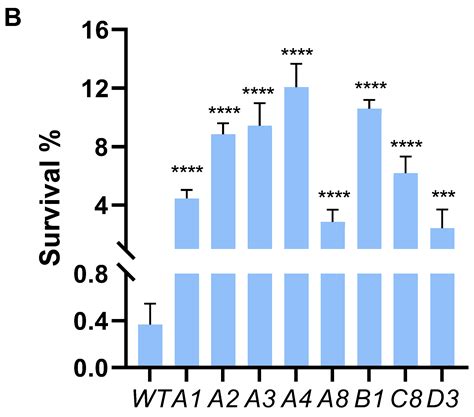 Adaptive Evolution For The Efficient Production Of High Quality D