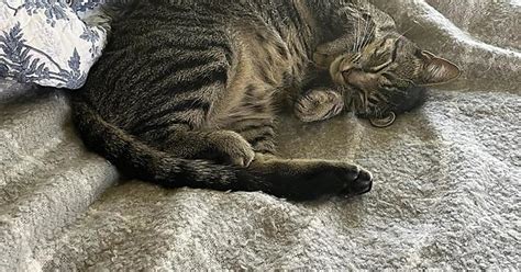 Sleeping Terror Album On Imgur