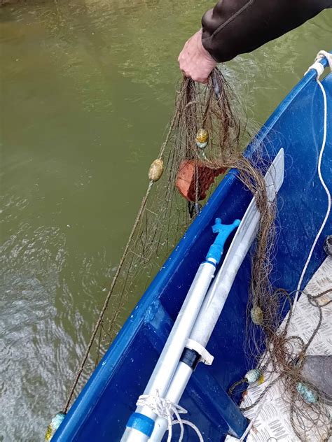 ⚓️ ИАРА Изпълнителна агенция по рибарство и аквакултури Facebook